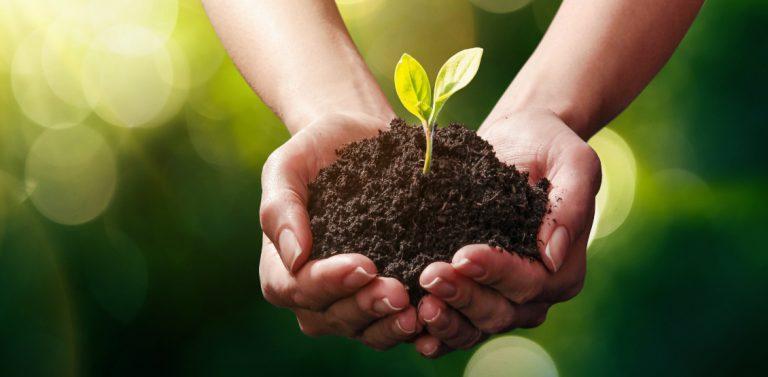 Corporate Conservation: Our Pledge to Plant Ten Trees for Each New Customer