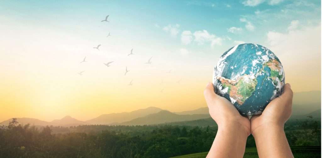 Contact, Phone, Email Verification | Data Quality Services